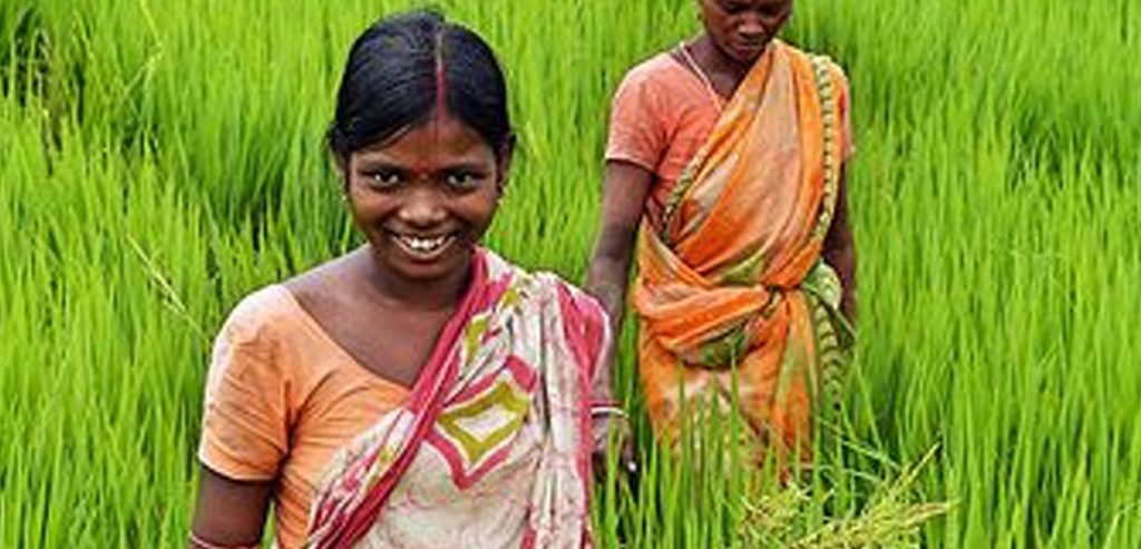 Empowerment of rural women – Priority of Bangla Govt – All India ...